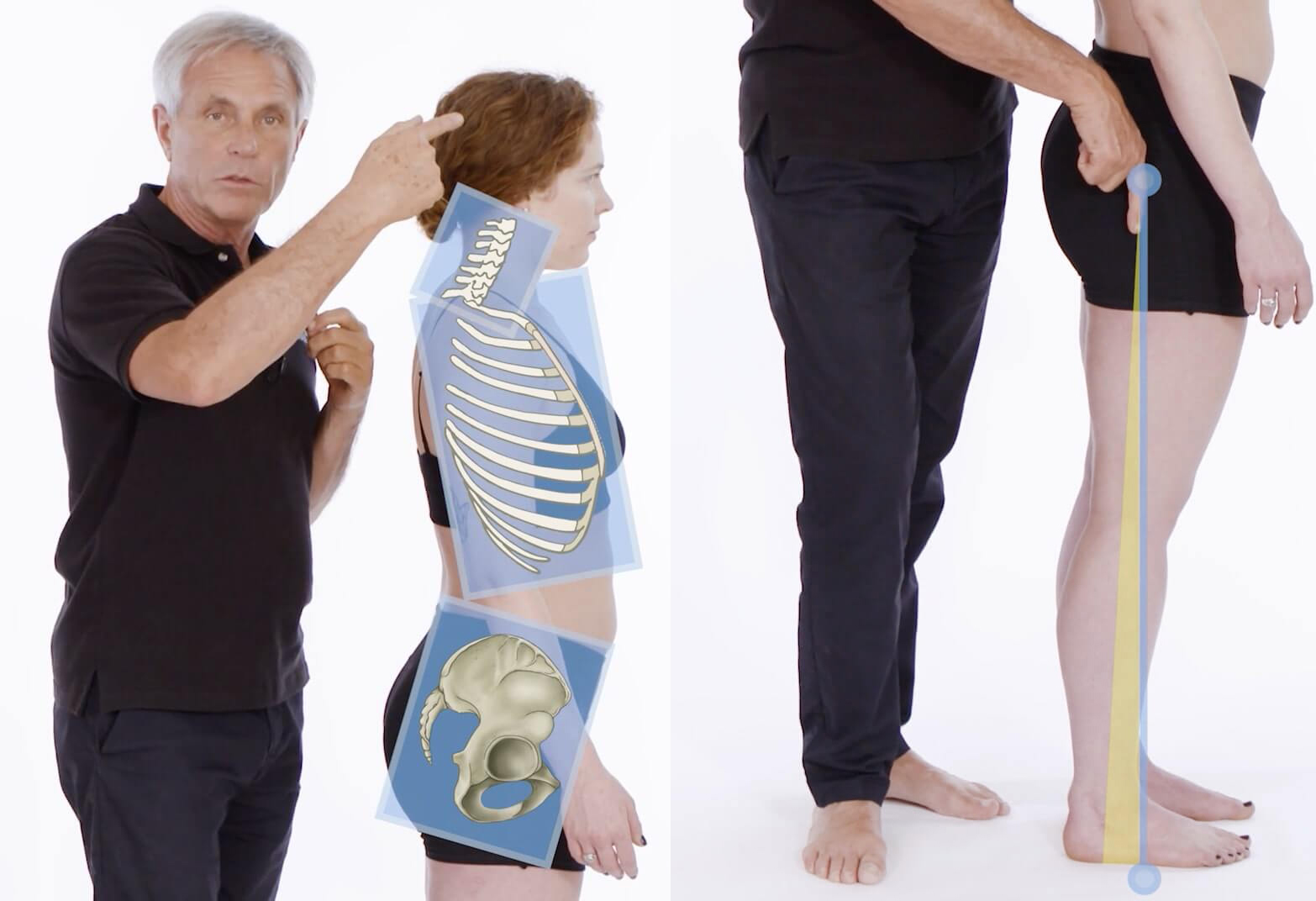 Body Reading 101 presented by Tom Myers - Authentic Method Pilates